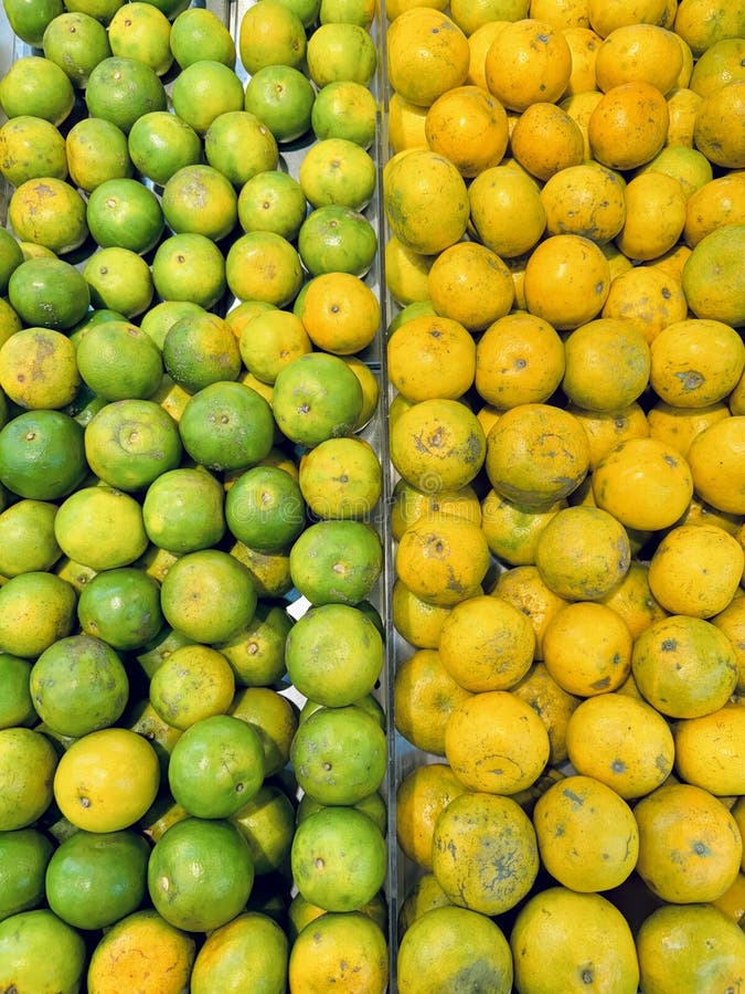 Two Groups of Oranges, Yellow Oranges and Green Oranges Stock Photo ...
