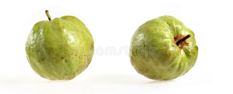 Guava fruit cut open stock image. Image of guajava, segment - 11205907