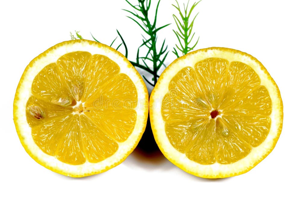 Two Half Lemons Shown Inside of the Fruit Isolated on White Stock Image ...