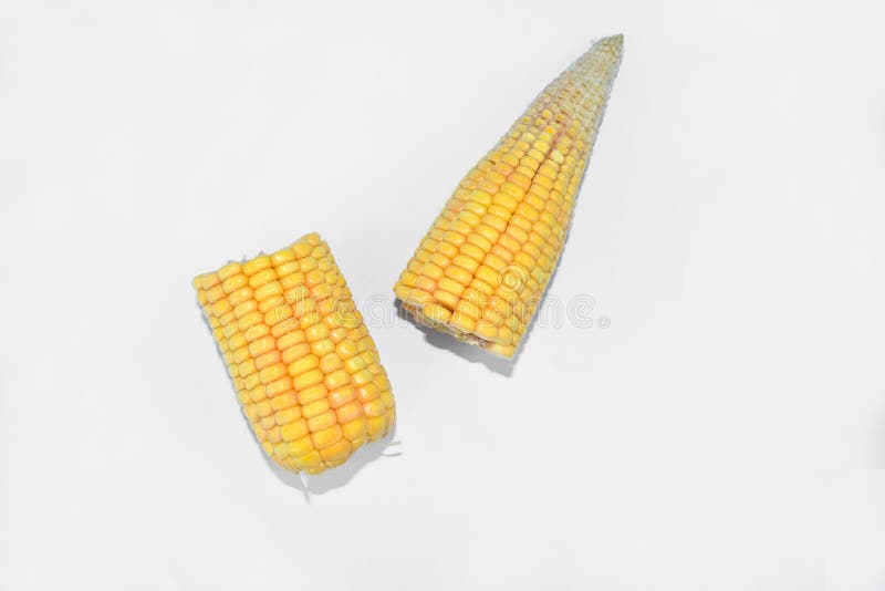 Ear of Corn isolated stock image. Image of grain, kernels - 28100353
