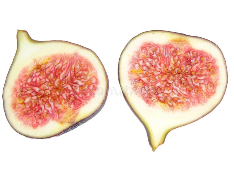 Two Halves of a Fig. Figs Isolated on White Stock Photo - Image of good ...