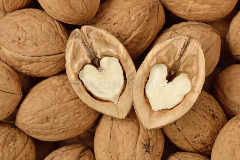 Two Halves of Heart Shaped Walnuts - Concept of Love Stock Photo ...
