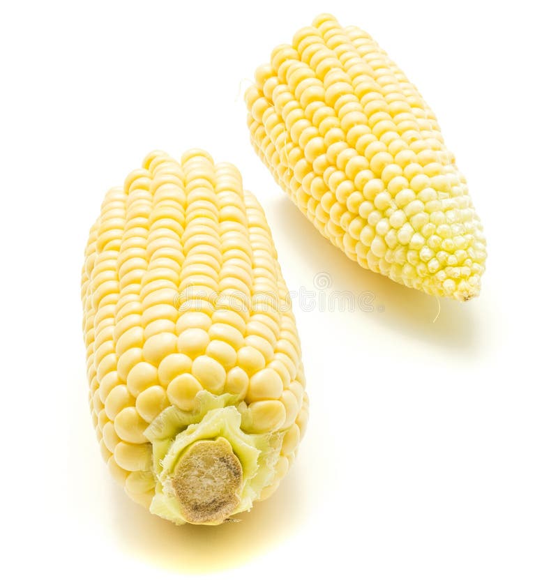 205 Long Corn Kernels Stock Photos - Free & Royalty-Free Stock Photos ...