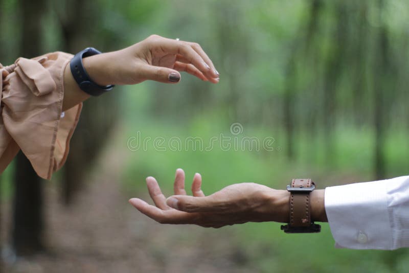 Two Hand Couple in Rubber Forest Background Stock Image - Image of hand ...