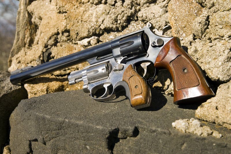 Shotgun shells stock photo. Image of police, security, clip - 825342