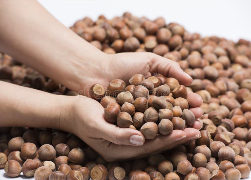 Two Handful of Unprocessed Nuts Stock Image - Image of blood, isolated ...
