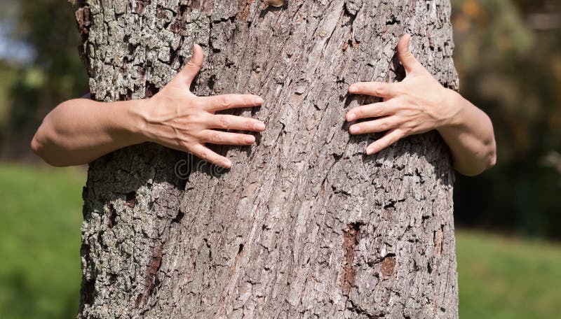 Hands Clasping Tree Stock Photos - Free & Royalty-Free Stock Photos ...