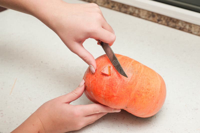 Two hands cutting pumpkin stock photo. Image of ingredient - 45732276