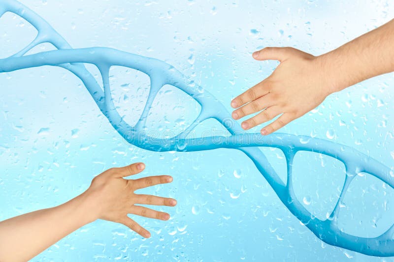 Two Hands, Dna Structure Helix, Deoxyribonucleic Acid, Nucleic Acid ...