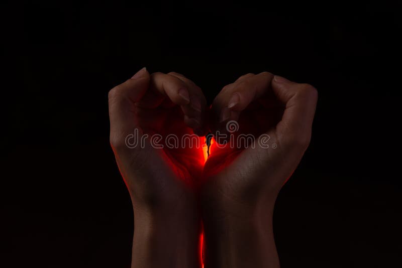 325 Inside Your Heart Stock Photos - Free & Royalty-Free Stock Photos ...