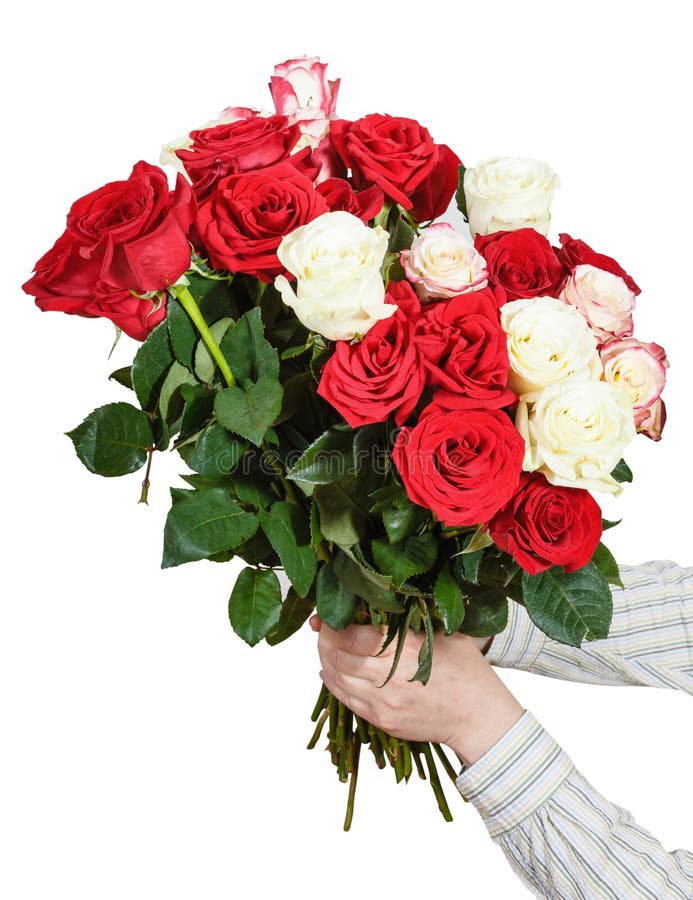 Two Hands Giving Bunch of Many Roses Isolated Stock Image - Image of ...