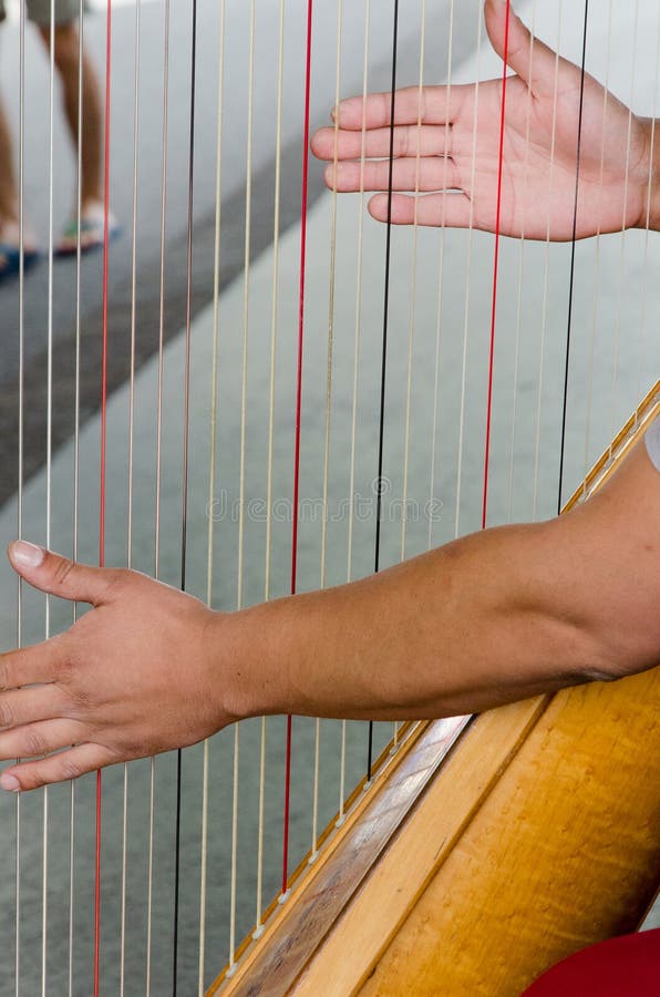 Hands on harp stock photo. Image of human, concert, heavenly - 23915150