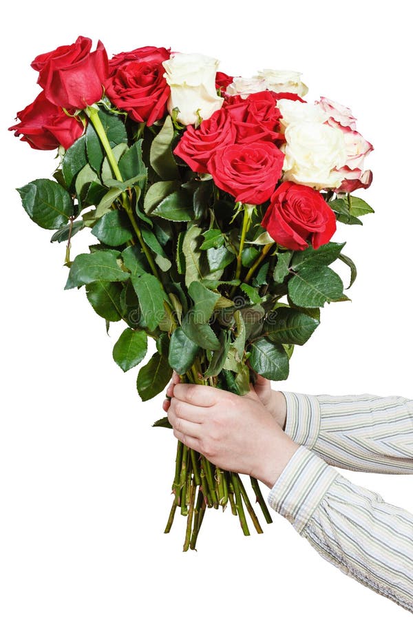 Two Hands Hold Bouquet of Many Roses Isolated Stock Photo - Image of ...