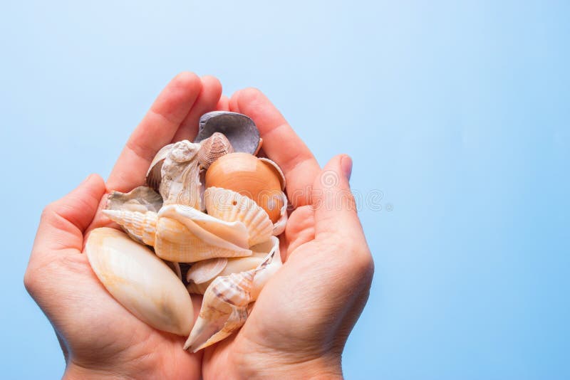 Two Hands Holding Tiny Shells on Shell Beach. B Stock Image - Image of ...