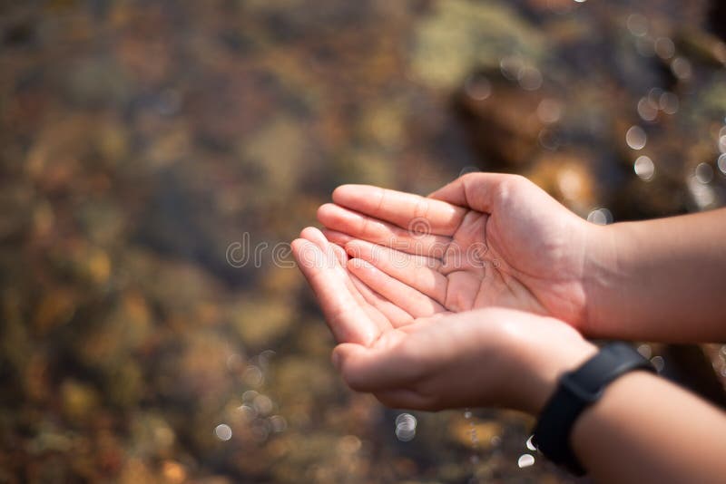 Two Hands Holding Clear Water Stock Image - Image of fresh, hold: 216684011