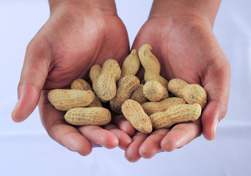 Peanuts Shells Rough Textured Surface Stock Photos - Free & Royalty ...