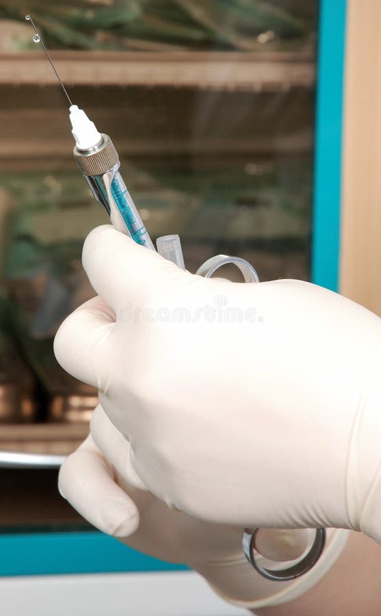 Endoscope in Doctor`s Hand during Medical Procedure. Stock Photo ...