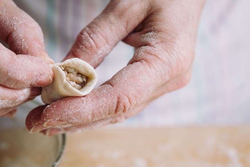 Two Hands Making Meat Dumplings. Stock Photo - Image of cookies ...
