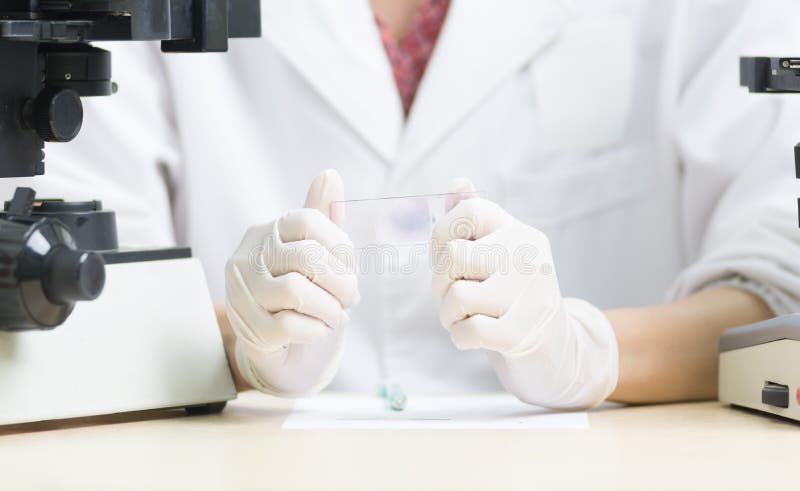 Two Hands in Nitril Gloves Hold Slide Stock Photo - Image of bright ...