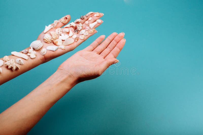 Two Hands: One without Any Shell Another Holds Various Shape Sea Shells ...