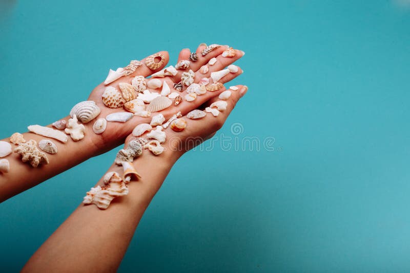 Two Hands: One without Any Shell Another Holds Various Shape Sea Shells ...