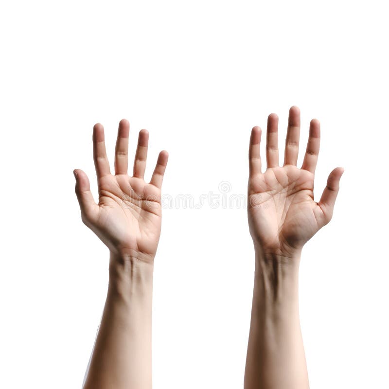 Two Hands Open Stock Illustrations – 1,686 Two Hands Open Stock ...