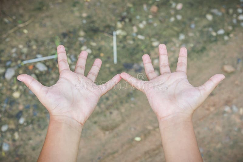 Two hands open palm stock photo. Image of hands, grass - 173397110