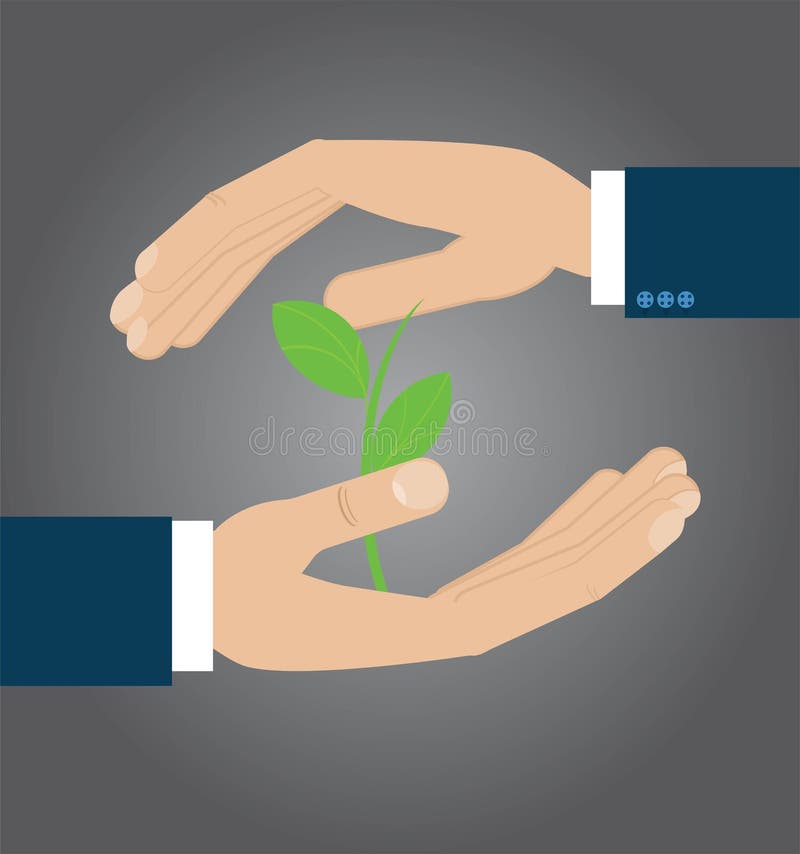 Two Hands Protecting Young Green Plant Stock Illustration ...