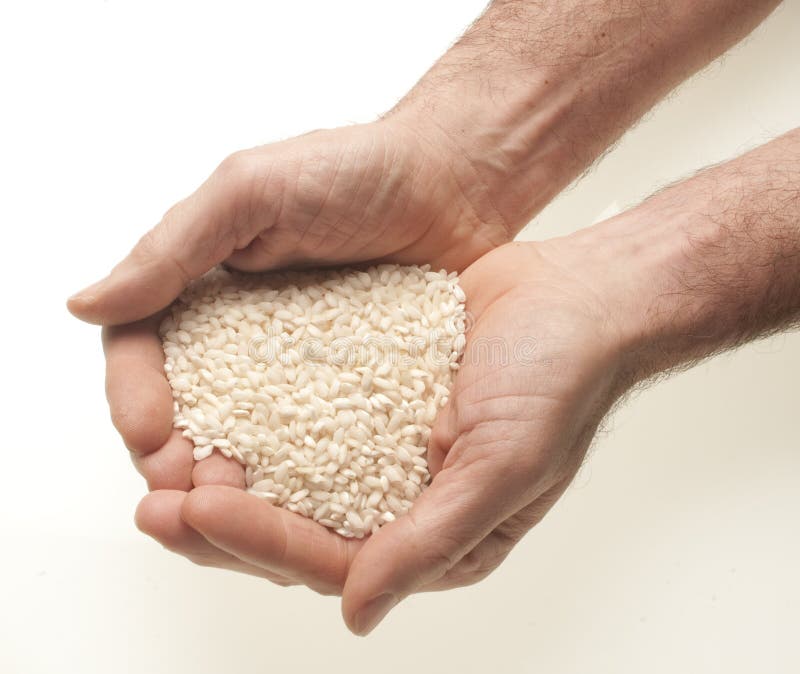 Two hands with rice stock image. Image of male, cereal - 30371761