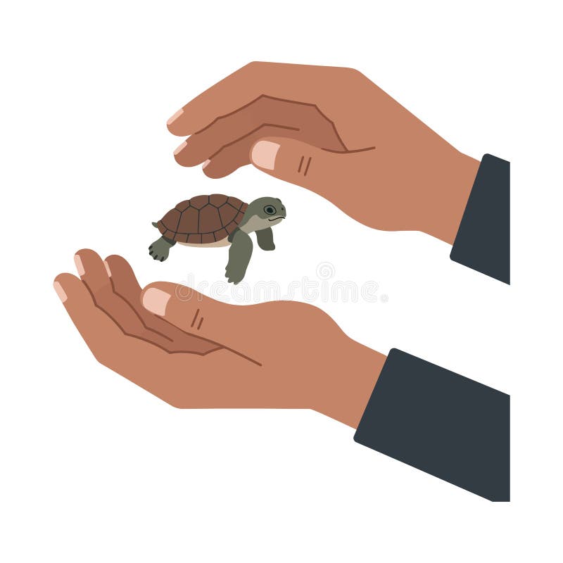 Hands Gently Cradling a Baby Turtle in a Caring Gesture, Flat Vector ...