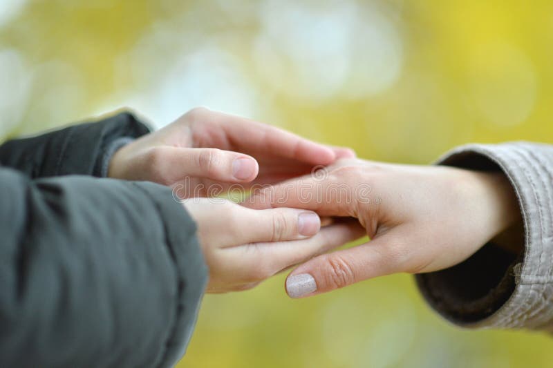 Two hands together stock photo. Image of clasped, leaf - 36688668