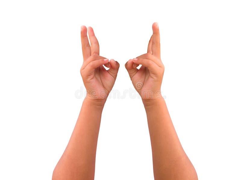 Two Hands Two V Signs stock photo. Image of rabbit, white - 95073688