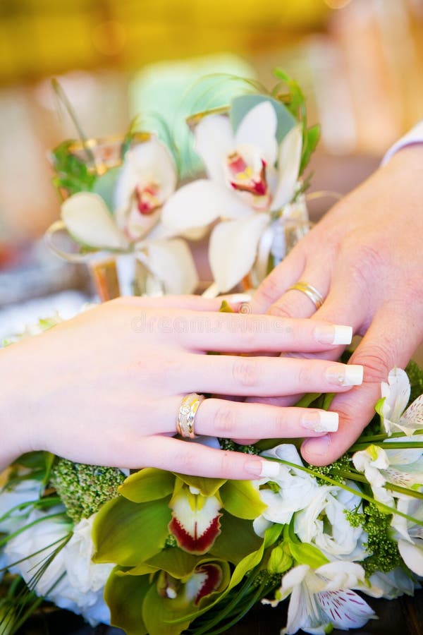 Wedding rings with flowers stock photo. Image of groom - 26144582