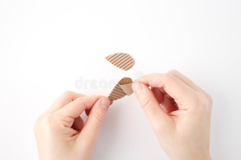 Two Hands Working with a Piece of Corrugated Cardboard. One Hand Holds ...