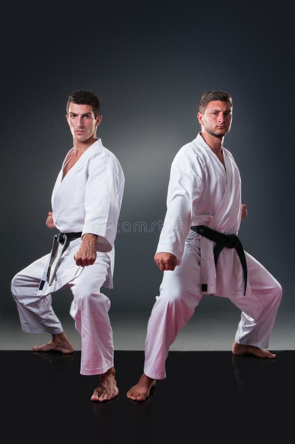 Two Handsome Male Karate Players Posing on the Gray Background Stock ...