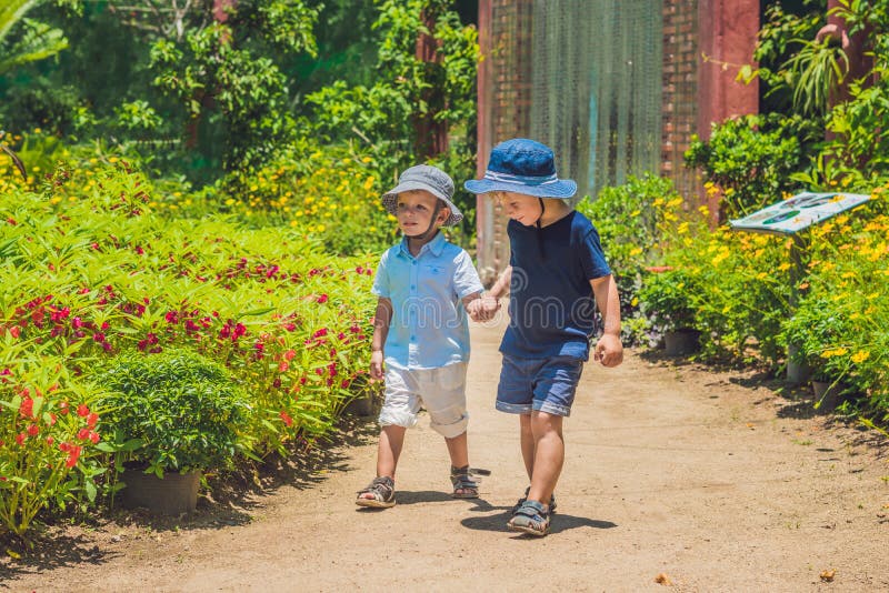 Two Happy Brothers Running Together on a Park Path in a Tropical Park ...