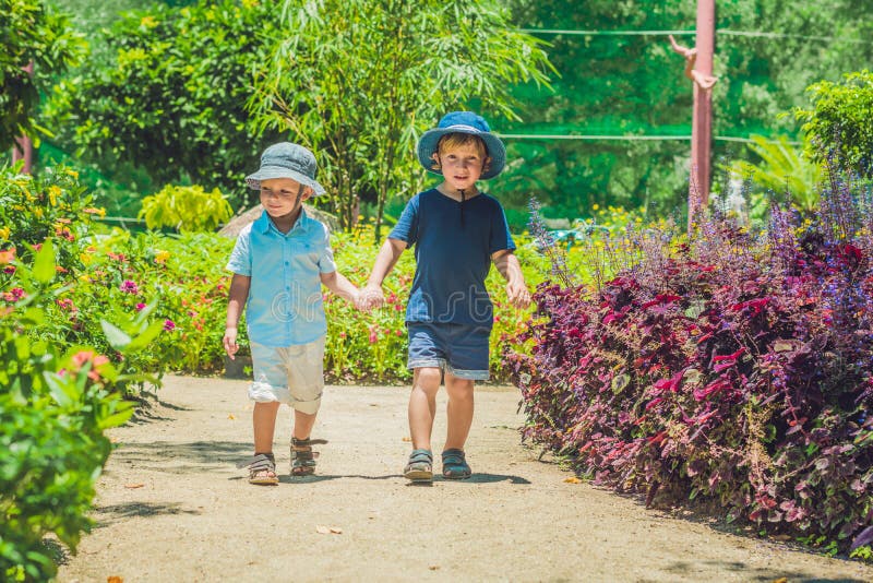 Two Happy Brothers Running Together on a Park Path in a Tropical Park ...