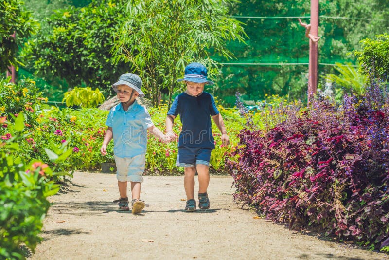 Two Happy Brothers Running Together on a Park Path in a Tropical Park ...