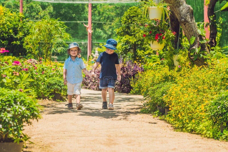 Two Happy Brothers Running Together on a Park Path in a Tropical Park ...