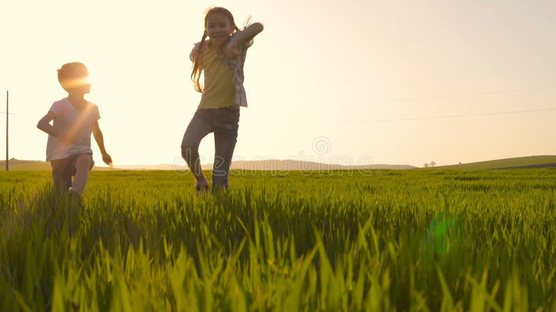 Two Happy Children Playing in the Field at the Day Time. Stock Footage ...