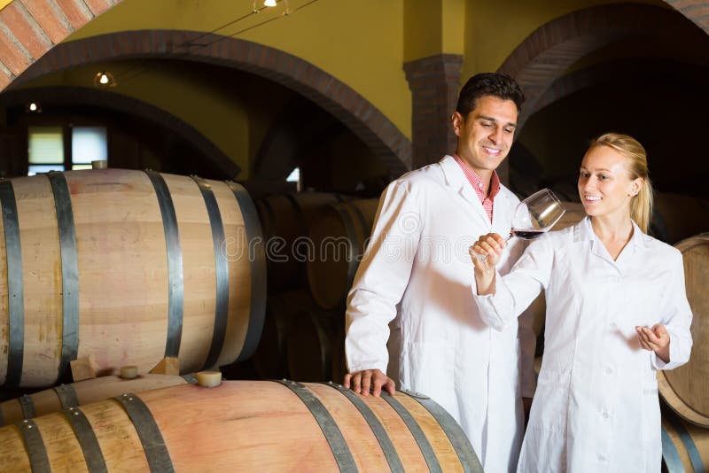 Two Happy Wine House Workers Checking Quality of Product Stock Image ...