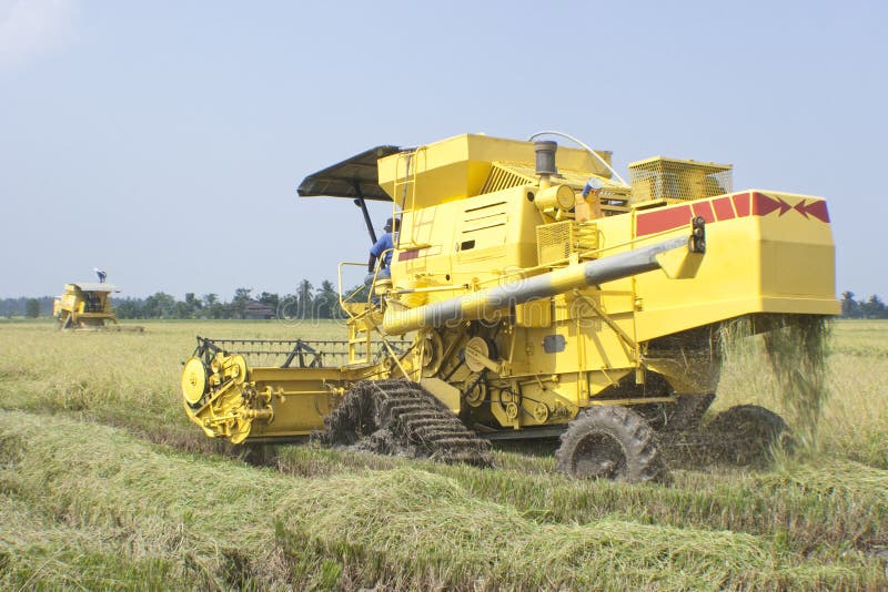 Two Harvesting Machine is Used To Harvest Paddy Stock Photo - Image of ...