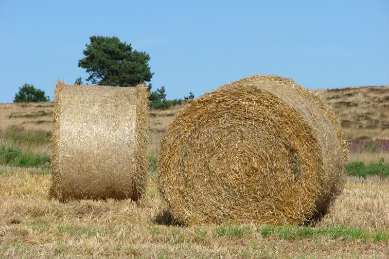 Two hay bales stock photo. Image of stack, season, fall - 10778018