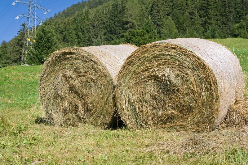 Two hay bales stock photo. Image of countryside, field - 14138930