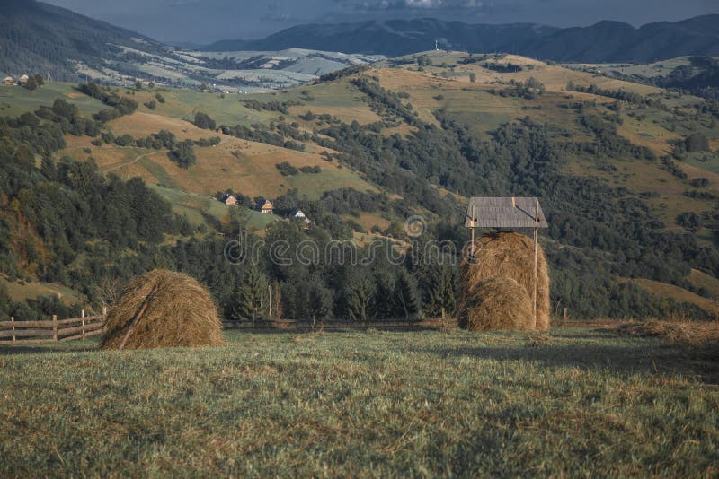 Hay ricks stock photo. Image of hayrick, crop, straw - 57960044