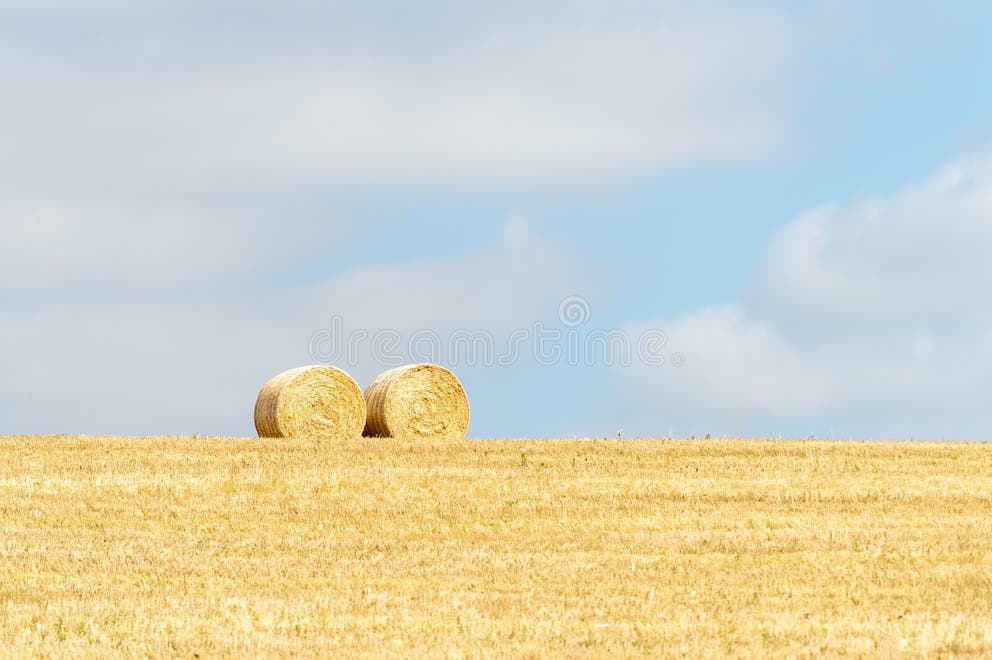 Haystacks in a Field Covered in the Grass Under a Cloudy Sky and ...