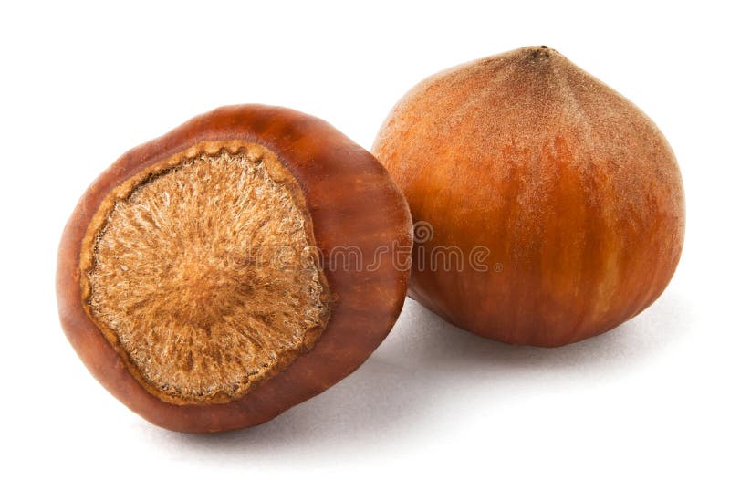 8,353 Fruits Hazelnuts Stock Photos - Free & Royalty-Free Stock Photos ...