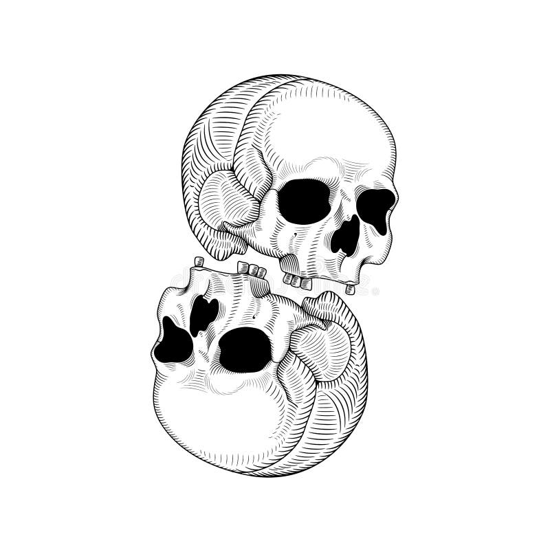 Two Head Skull Up and Down Vector Illustration Stock Vector ...