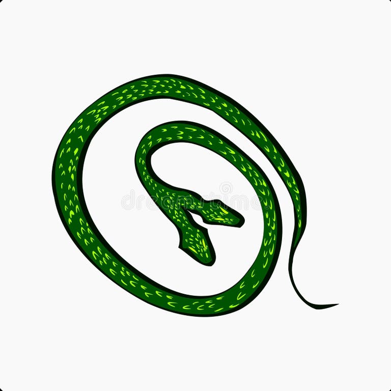 Two Head Snake Make Circle Shape Stock Vector - Illustration of green ...