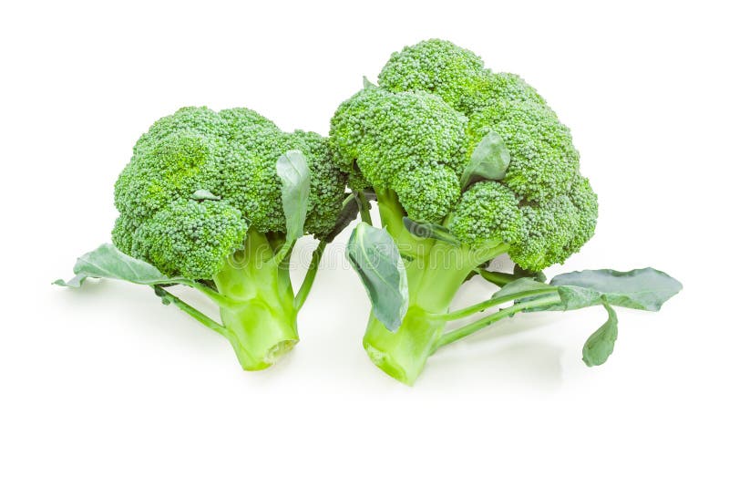Two Heads of the Fresh Broccoli Stock Image - Image of beneficial, head ...